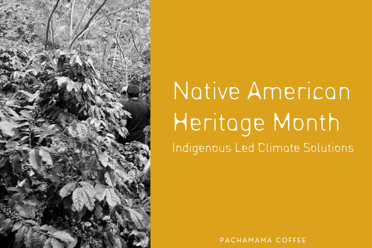 Native American Heritage Month | Indigenous Led Climate Solutions + CO ...