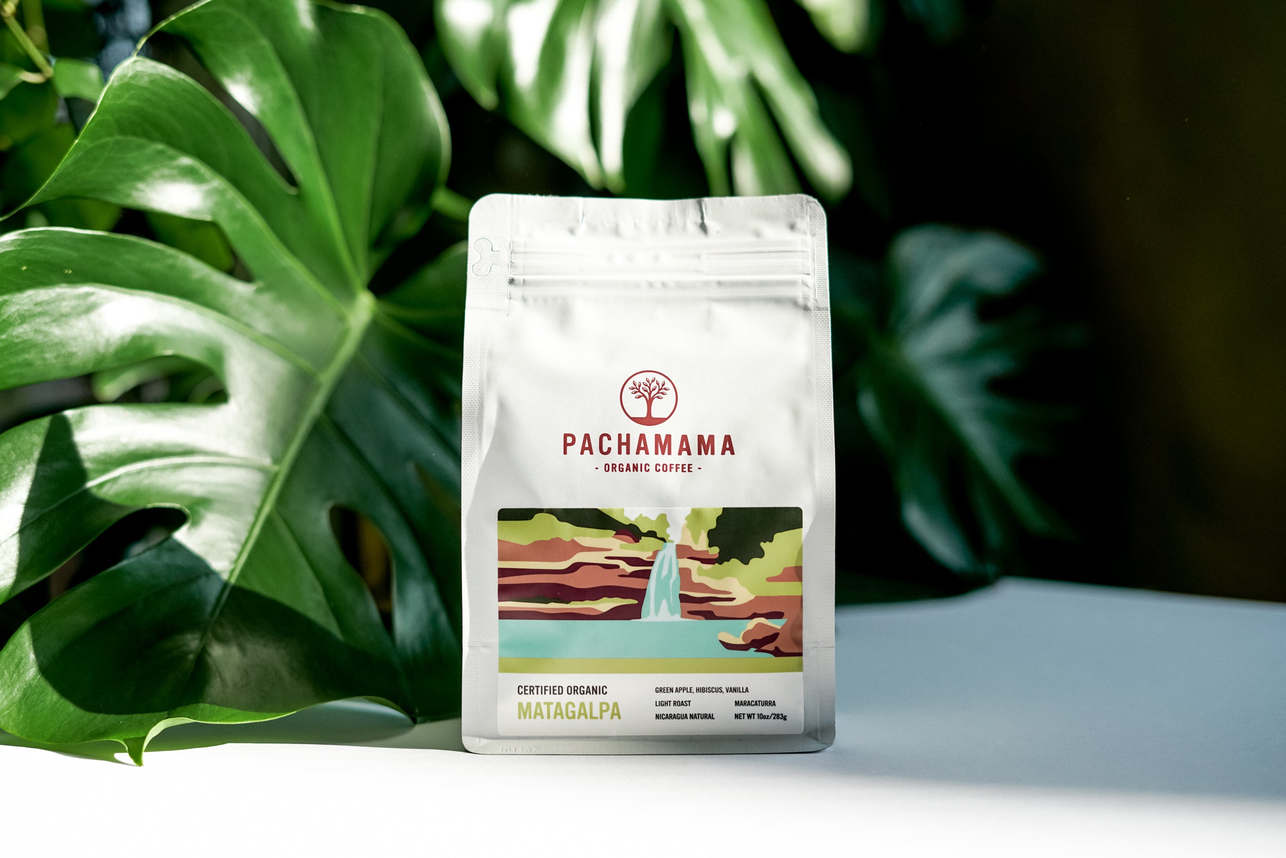 Limited Release Single Origin Coffee | Nicaragua Natural Maracaturra ...